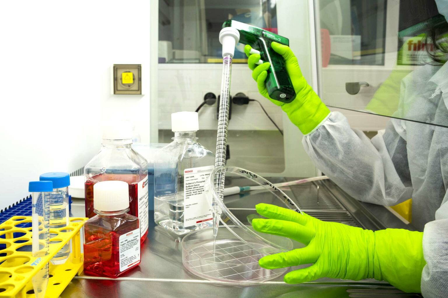 Measurment of disinfection processes - NeoVirTech